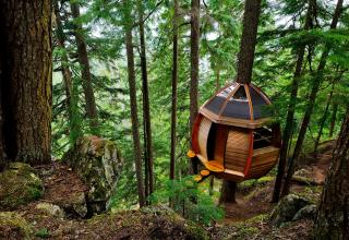 31 Awesome Tree Houses - Win Gallery | eBaum's World