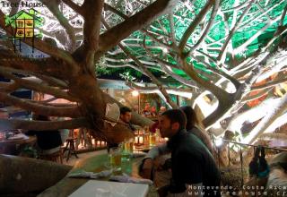 31 Awesome Tree Houses - Win Gallery | eBaum's World