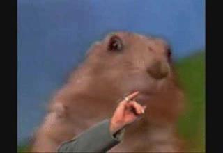 Dramatic Chipmunk Vector - Gallery | eBaum's World