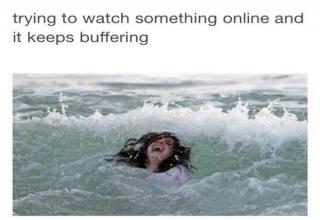 39 of the Best in the MEME STREAM - Funny Gallery | eBaum's World