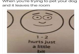 21 Funny AF Memes That Are Just So Relatable - Funny Gallery | eBaum's ...