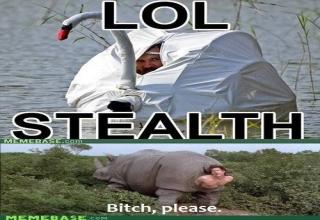 29 Times Super Stealth Mode Totally Worked - Funny Gallery | eBaum's World