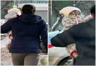 47 Fun Pics to Laugh at Alone in an Empty Room - Funny Gallery | eBaum ...