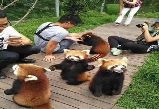 49 Fun Randoms to Spice up the Day - Funny Gallery | eBaum's World