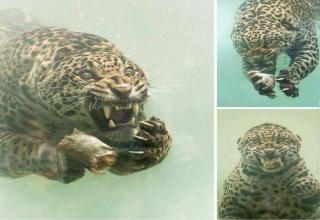 Unleashing the Awesome: 44 Randomly Cool and Fun Pics - Funny Gallery ...