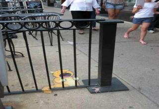 Unleashing the Awesome: 44 Randomly Cool and Fun Pics - Funny Gallery ...