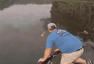 27 Random Gifs For Your Viewing Pleasure - Funny Gallery | eBaum's World