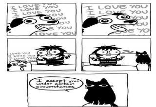 31 Funny Memes Ready For Your Consumption - Funny Gallery | eBaum's World