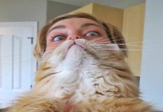 Enjoy a Bite-Sized Snack of 36 Quick Pics - Funny Gallery | eBaum's World