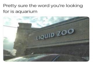 32 Funny Memes For A Good Time - Funny Gallery | eBaum's World