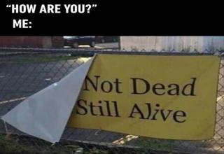 28 Funny Memes to Take a Break With - Funny Gallery | eBaum's World