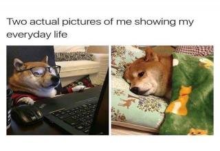 28 Funny Memes For Your Viewing Pleasure - Funny Gallery | eBaum's World