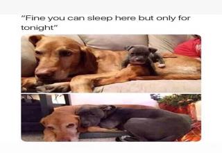 33 Funny Memes For a Cool Break - Funny Gallery | eBaum's World