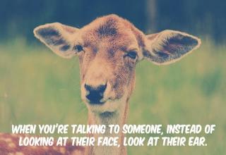 20 Brilliant Ways To Mess With People - Funny Gallery | eBaum's World