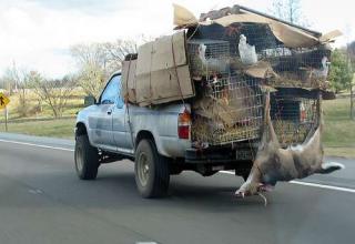 27 Redneck Vehicles - Cars Gallery | eBaum's World