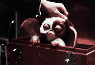 32 Totally Rad 80's Movies .Gifs - Funny Gallery | eBaum's World