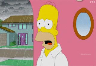 Guy Has Genius Realizations After 2 Days of Acid & The Simpsons - Wow ...