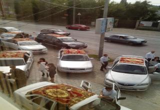 29 Examples Of Strange Behavior - Funny Gallery | eBaum's World