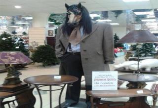 29 Examples Of Strange Behavior - Funny Gallery | eBaum's World