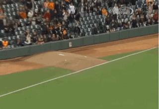 27 GIFs With Unexpected Endings - Funny Gallery | eBaum's World