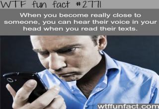 48 WTF Fun Facts - Gallery | eBaum's World