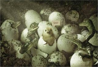 55 Stupendous Images Guaranteed To Please - Wow Gallery | eBaum's World