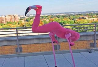 48 Random Images That Will Make You Forget All About Work - Funny ...