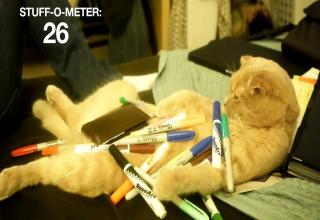 You Won't Believe The Wide Array Of Things That People Got Stuck Inside ...