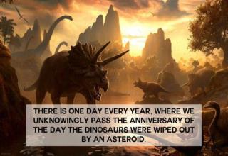 20 Stoner Animal Realizations - Funny Gallery | eBaum's World