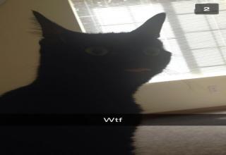 20 Funny Snapchats That Are Very Weird - Funny Gallery | eBaum's World