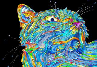Trippy Psychedelic GIFS - Gallery | eBaum's World