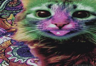 Trippy Psychedelic GIFS - Gallery | eBaum's World
