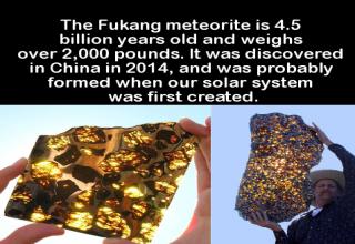 19 Strange and Interesting Facts - Wow Gallery | eBaum's World