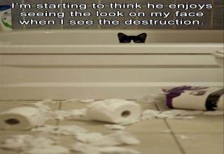 16 Funny "Caught Ya" Moments Captured on Camera - Funny Gallery | eBaum ...