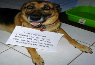 16 Funny "Caught Ya" Moments Captured on Camera - Funny Gallery | eBaum ...