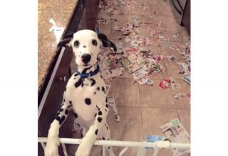 16 Funny "Caught Ya" Moments Captured on Camera - Funny Gallery | eBaum ...