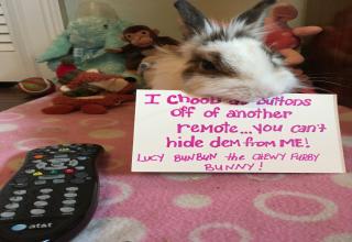 16 Funny "Caught Ya" Moments Captured on Camera - Funny Gallery | eBaum ...