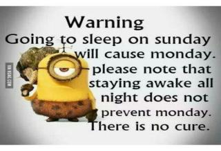 20 Sunday Night Memes That Sum Up The Weekend Ending - Funny Gallery ...