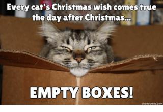 22 After Christmas Truths - Funny Gallery | eBaum's World