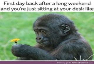 Happy Monday Y'all - Here Are The Best Memes to Start Off the Week With ...
