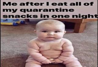 Relatable Quarantine Memes To Keep You Company - Funny Gallery | eBaum ...