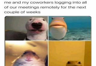 45 Funny Memes About The Disaster That Is 2020 - Funny Gallery | eBaum ...