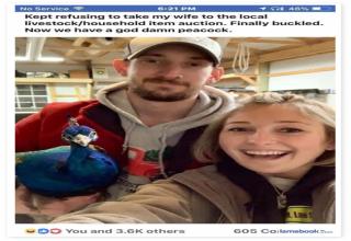 25 Interesting Memes That Might Teach You A Thing Or Two | eBaum's World