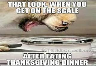 30 Funny Thanksgiving Memes from the Internet's Early Days - Funny ...
