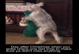 34 Memes For the Post-Holiday Hangover | eBaum's World