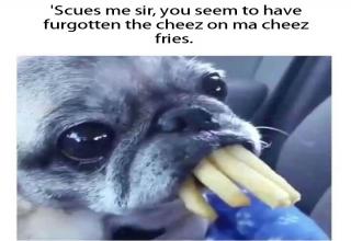 50 Funny Food Memes to Feast On - Funny Gallery | eBaum's World