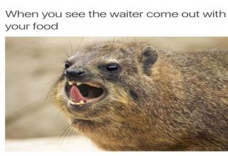 50 Funny Food Memes to Feast On - Funny Gallery | eBaum's World