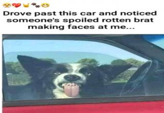 31 Funny Traffic Memes For The Road - Funny Gallery | eBaum's World
