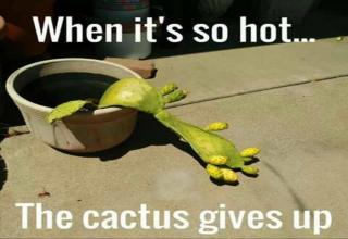 30 Hot and Humid Memes Perfect For Summer - Funny Gallery | eBaum's World