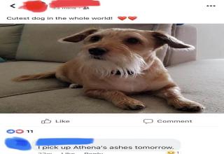 20 Pics That Will Make You Cringe - Funny Gallery | eBaum's World